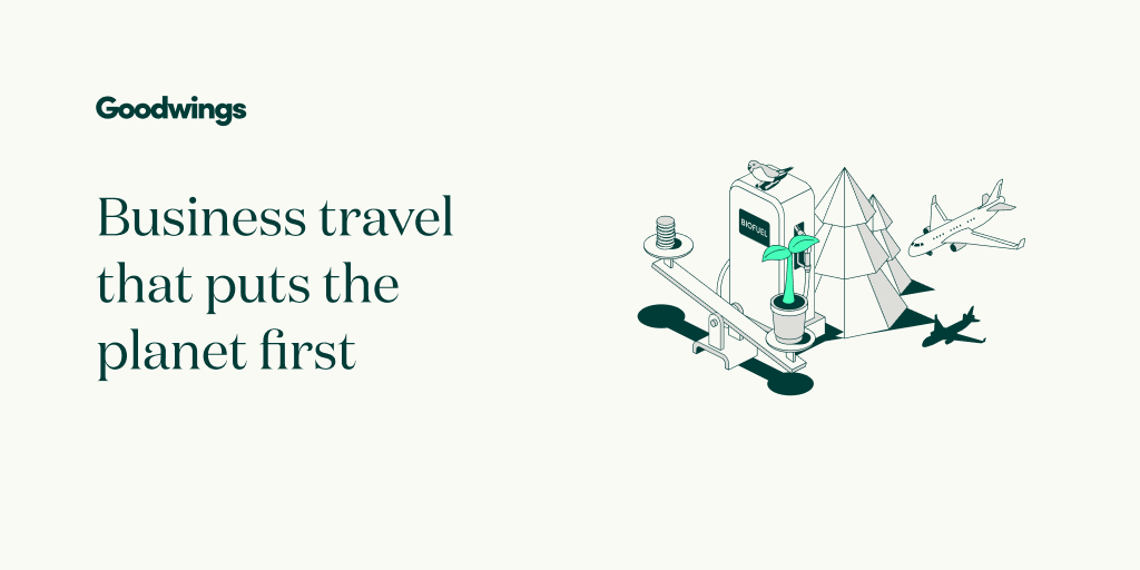 Goodwings — Affordable Sustainable Aviation Fuel